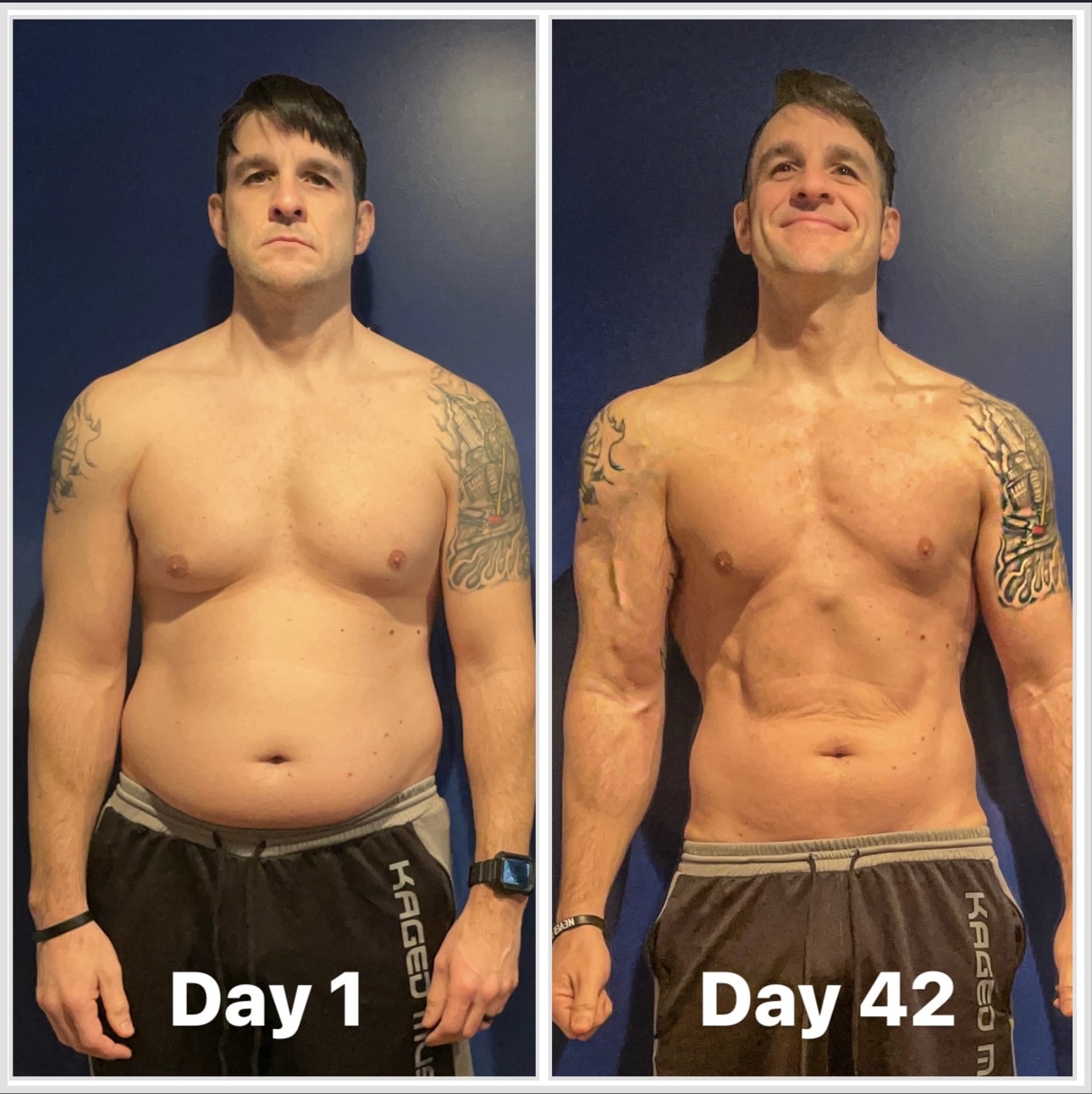 Shred Spartan - Nutrition Solutions